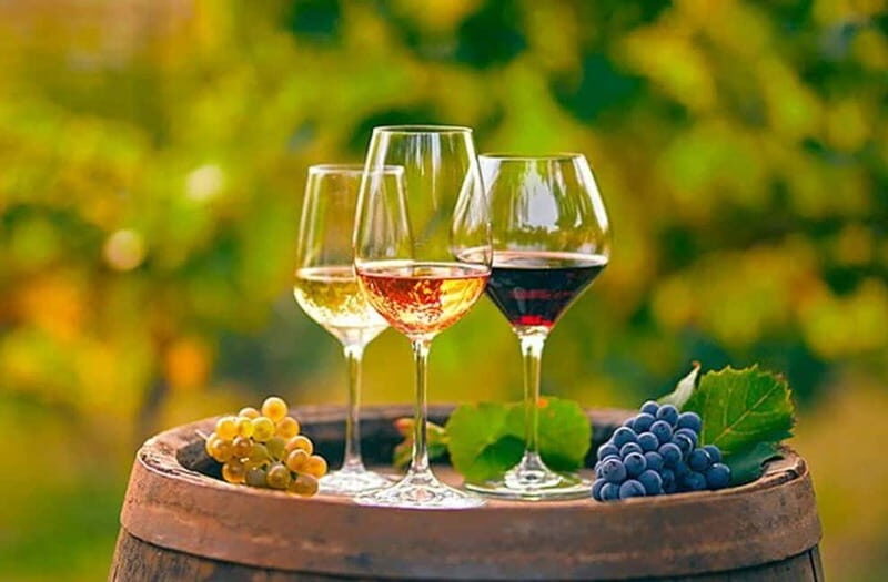 Alicante: Old Winery Tour & Wine Tasting including transfer - Discover Alicante’s Old Winery & Wine Tasting Tour: A Detailed Look