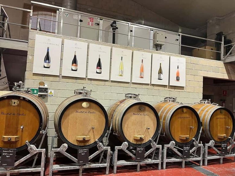 Alicante: Old Winery Tour & Wine Tasting including transfer - The Itinerary in Detail