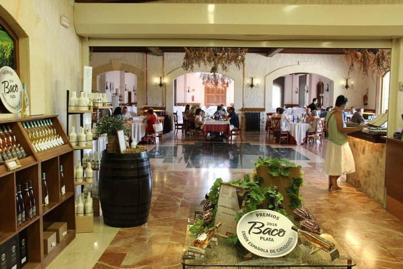 Alicante: Old Winery Tour & Wine Tasting including transfer - Who Will Love This Tour?