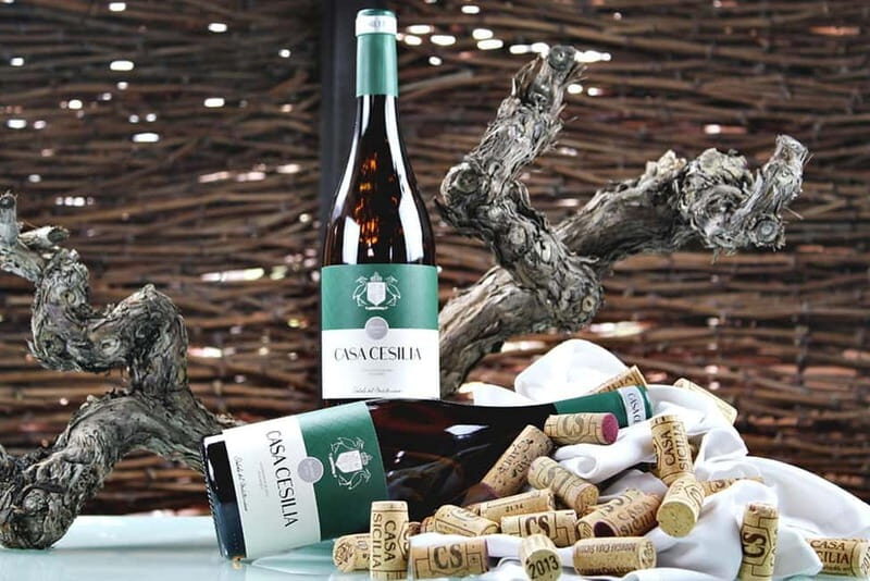Alicante: Old Winery Tour & Wine Tasting including transfer - Final Words: Is It Worth It?