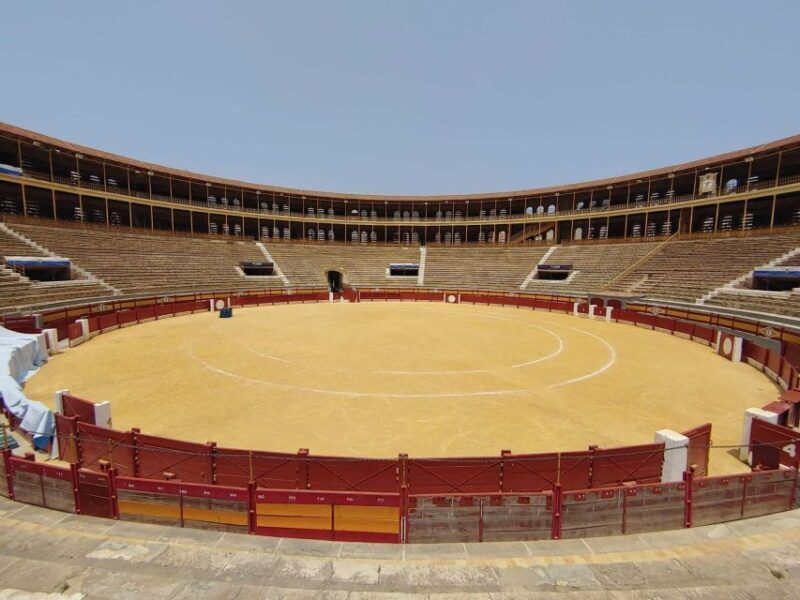 Alicante: Private Guided Visit to Alicante Bullring & Museum - Key Points