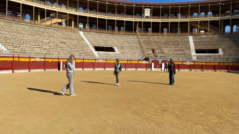 Alicante: Private Guided Visit to Alicante Bullring & Museum - Discovering Alicante’s Bullring and Museum: A Detailed Review