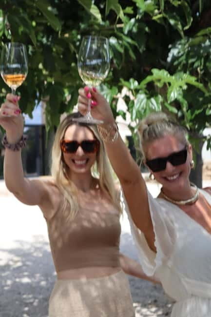 Alicante: Sustainable Wine & Tapas Experience at 3 Wineries - Discovering Alicante’s Wine Scene: What to Expect