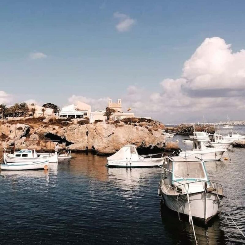 Alicante/Torrevieja: Excursion to Tabarca by ferry, Santa Pola, and Laguna Rosa - What’s Included and What’s Not