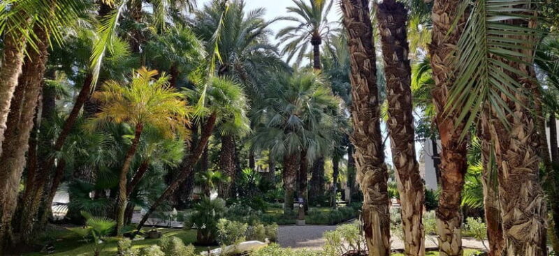 Alicante: UNESCO Heritage Palm grove + Artistic Garden Tour - The Experience in Context: Value and Authenticity