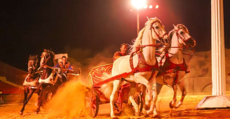 Alicante: Villajoyosa Gran Circus Maximus Entry Ticket - What’s the Experience Like?