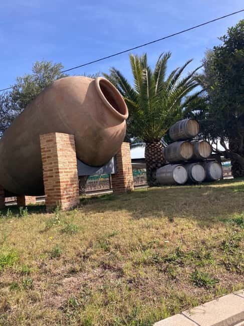 Alicante: Wine tasting tour with transfer - Key Points