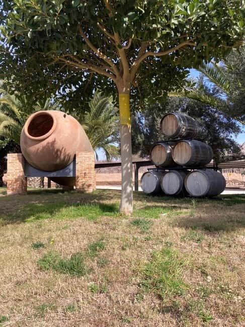 Alicante: Wine tasting tour with transfer - Potential Drawbacks and Considerations