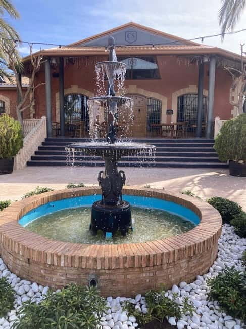 Alicante: Wine tasting tour with transfer - The Experience in Context