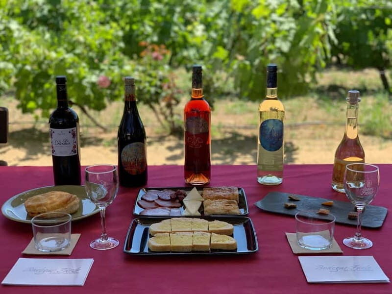 Alicante: Wine Tour and Lunch with Bodega Visit and Novelda - The Value of This Experience