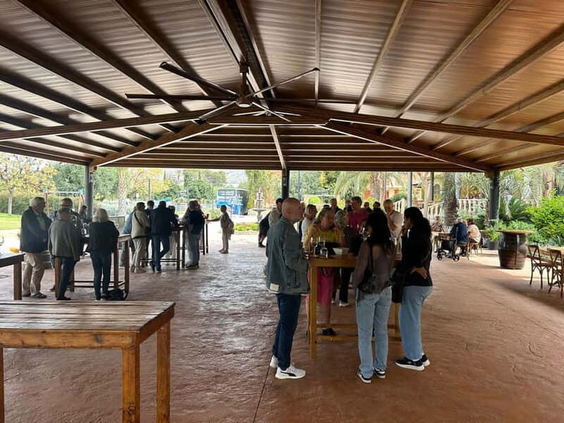 Alicante: Wine Tour and Lunch with Bodega Visit and Novelda - FAQ