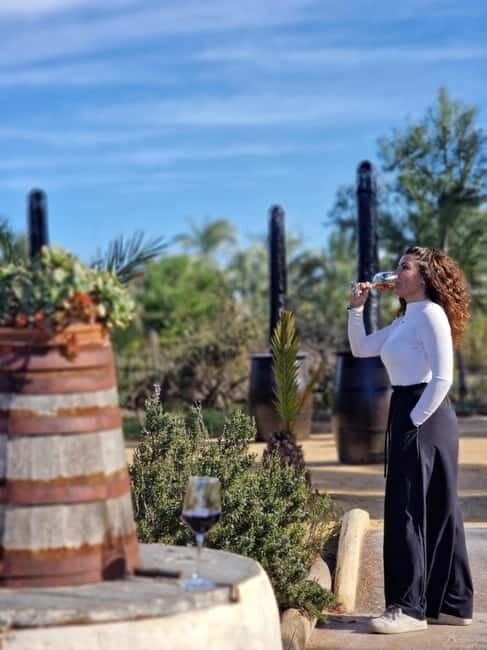 Alicante; Wine Tour Wineries, Food, and Transportation Included - Authenticity and Cultural Connection