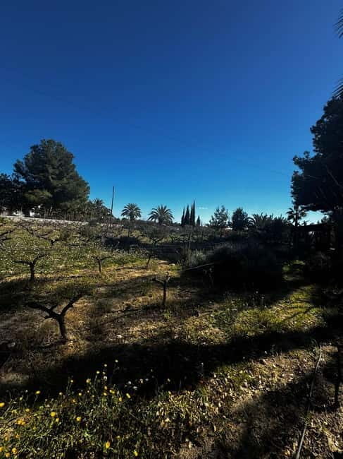Alicante; Wine Tour Wineries, Food, and Transportation Included - Who Will Enjoy This Tour?