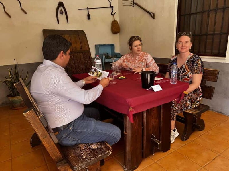 Alicante; Wine Tour Wineries, Food, and Transportation Included - The Sum Up: Is It Worth It?