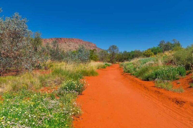 Alice Springs: Desert Park Entry Ticket - The Experience You’ll Take Home