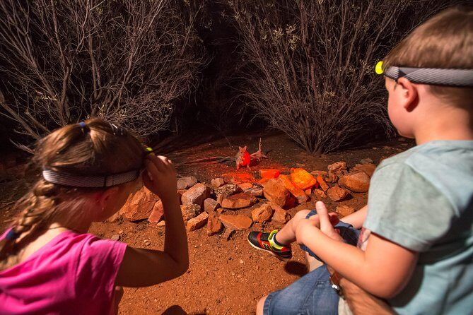 Alice Springs Desert Park Nocturnal Tour - What Sets This Tour Apart