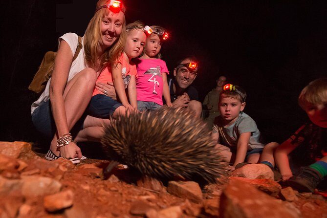 Alice Springs Desert Park Nocturnal Tour - FAQ