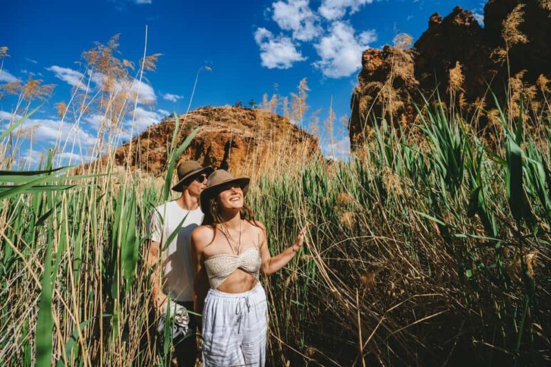 Alice Springs: Larapinta Hiking Trail 5 Day Adventure Safari - What’s Included and What’s Not