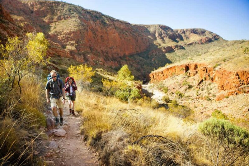 Alice Springs: Larapinta Hiking Trail 5 Day Adventure Safari - The Real Value of the Experience