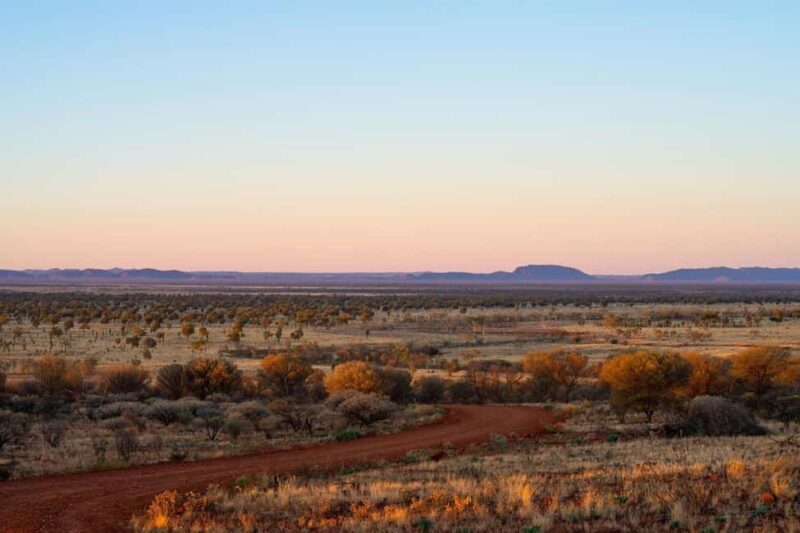Alice Springs: Red Centre Journey Tour with Morning Tea - Key Points