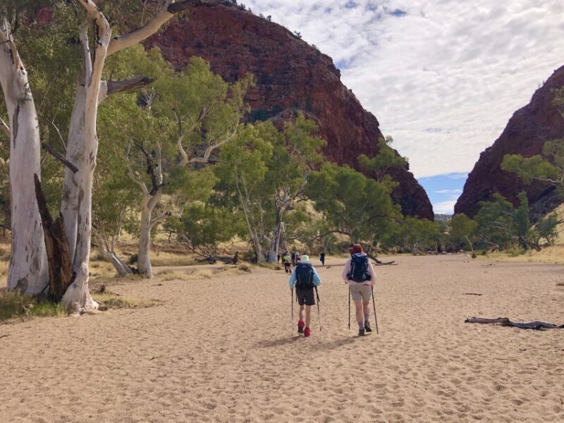 Alice Springs: Simpsons Gap Sunset Watercolor Painting Class - Practical Tips for Participants