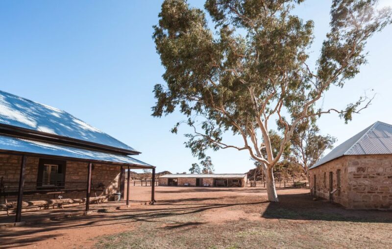Alice Springs: Town Highlights and West MacDonnell Ranges - Who Will Love This Tour?