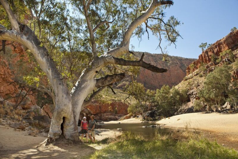 Alice Springs: West MacDonnell Ranges & Standley Chasm Tour - Cooling Off at Ellery Creek Big Hole