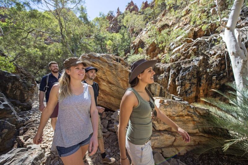 Alice Springs: West MacDonnell Ranges & Standley Chasm Tour - Who Will Love This Tour?
