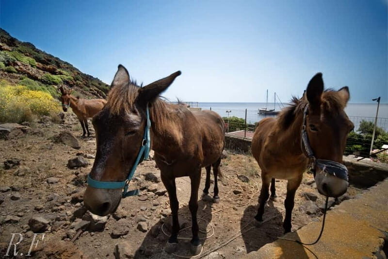 Alicudi e filicudi tour from Lipari - Why This Tour Is Worth considering