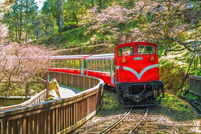 Alishan 2Day Shared Tour from Taipei - An In-Depth Look at the Alishan 2-Day Tour