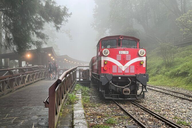 Alishan Day Tour from Chiayi (Incl. Park Entrance) - An In-Depth Look at the Alishan Day Tour