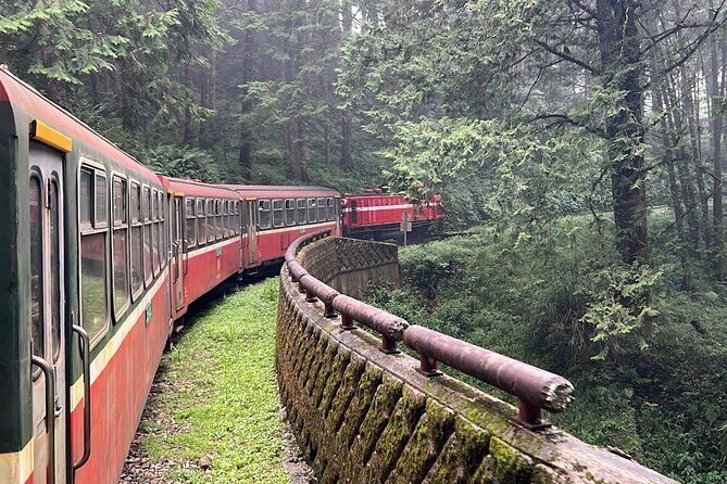 Alishan Day Tour from Chiayi (Incl. Park Entrance) - Why This Tour Works