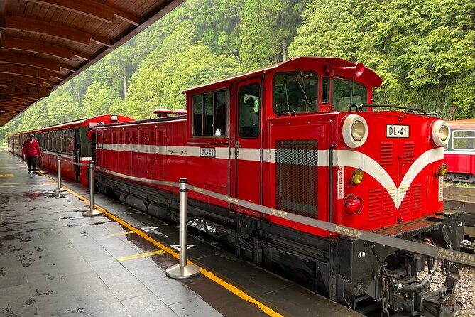 Alishan Day Tour from Chiayi (Incl. Park Entrance) - Summary
