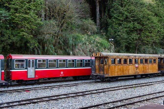 Alishan Join In Day Tour from Taichung (Incl. Park Entrance) - The Itinerary in Detail