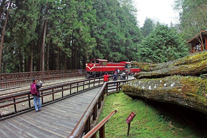 Alishan National Forest Recreation Area Ticket by Zhushan Line - Exploring Alishan: What to Expect from the Tour