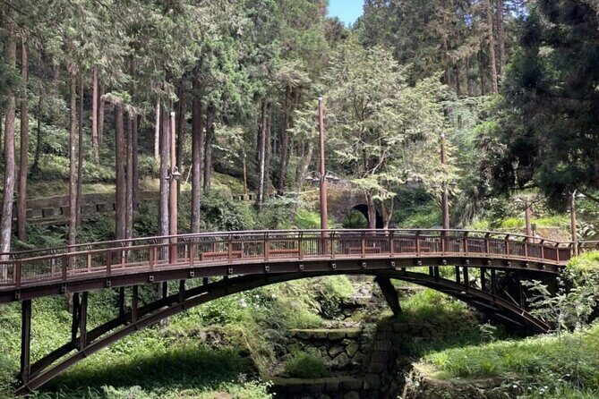 Alishan National Forest Recreation Area Ticket by Zhushan Line - Who Will Love This Tour?
