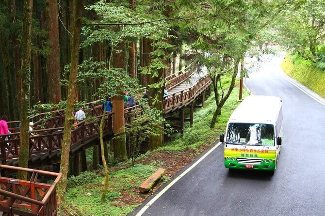 Alishan National Forest Recreation Area Ticket - Exploring the Forests and Trails