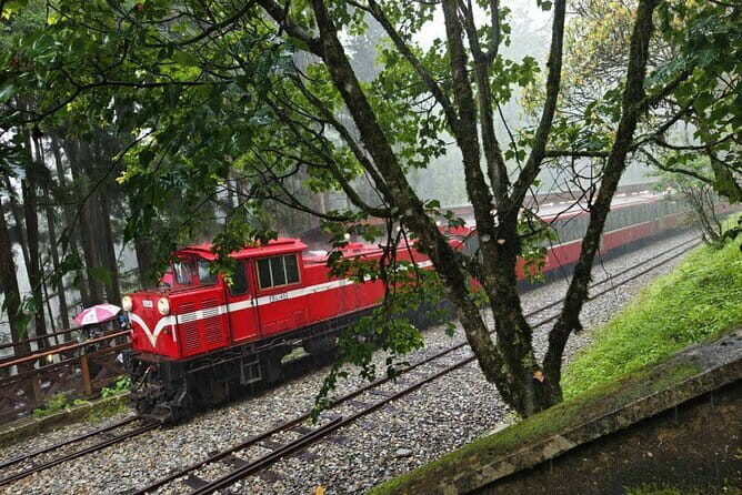 Alishan One Day Tour from Taichung - Introduction