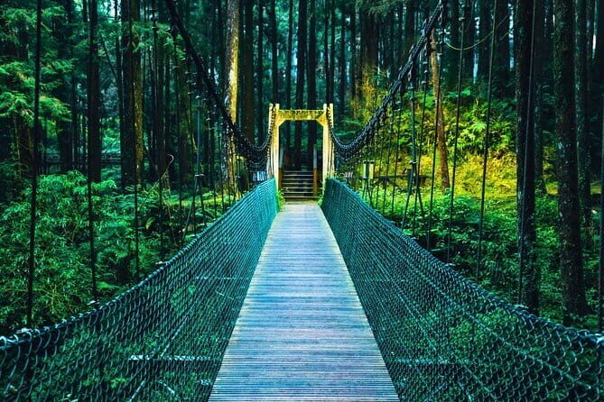 Alishan Private Day Tour from Taichung - FAQ