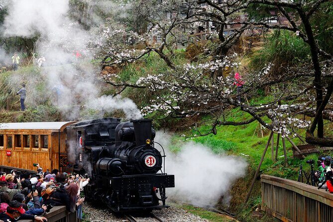 Alishan Taiwan 2 Day Private Tour from Taipei - FAQ