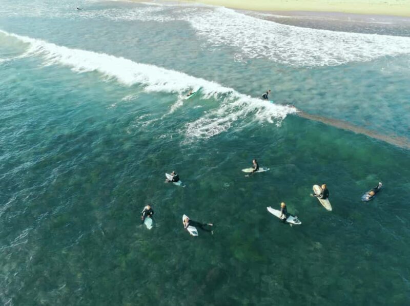 All Abilities Adaptive Surf Lesson Gold Coast - Introduction: A Wave of Inclusion and Fun
