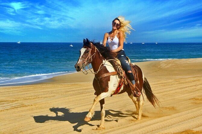 All Access Outdoor Adventure ATV, Catamaran, etc. at Montego Bay - The Sum Up