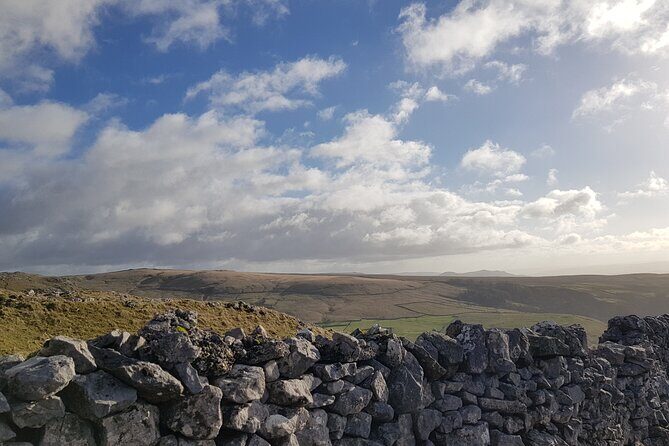 "All Creatures Great and Small" Private Tour from the Lake District - Final Thoughts