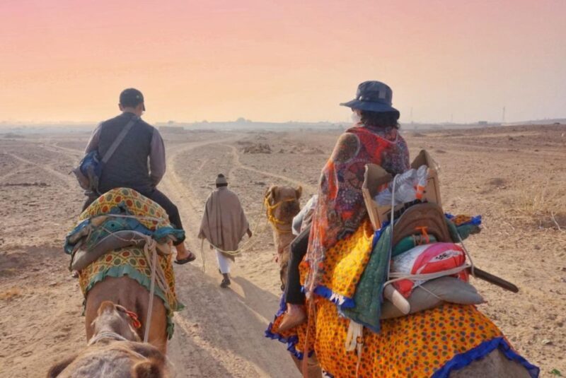 All-Day Desert Safari with Cultural Program - How Does It Compare in Value?