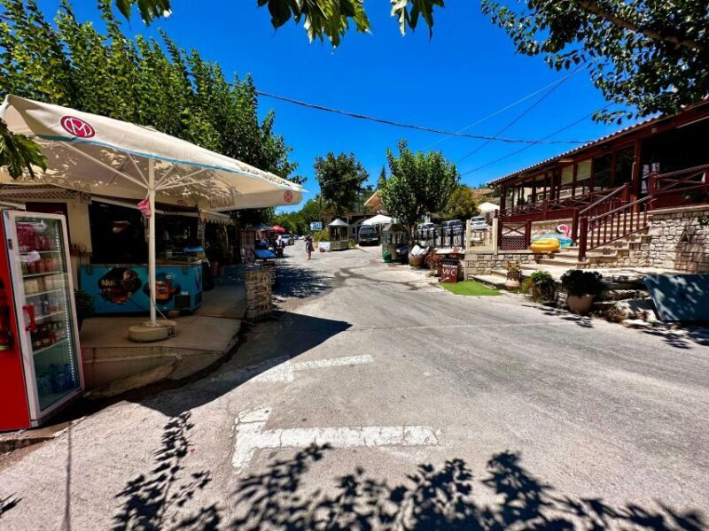 All Day Family Tour to Rethymno & Kournas Lake | JMP Tours - Reading the Reviews