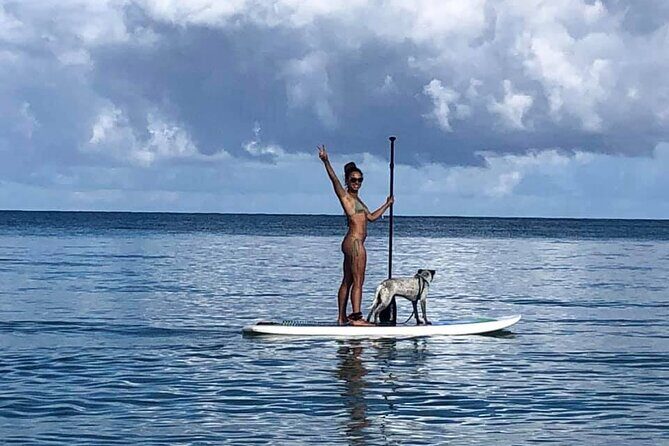 All-Day Paddleboard Rental  Fajardo, Puerto Rico - How to Make the Most of Your Day