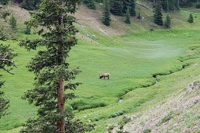 All Day Rocky Mountain National Park to Grand Lake Tour - Setting the Scene: What Is This Tour All About?