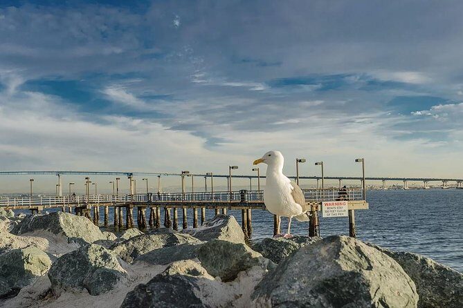 All Day San Diego Scenic Tour - Practical Tips