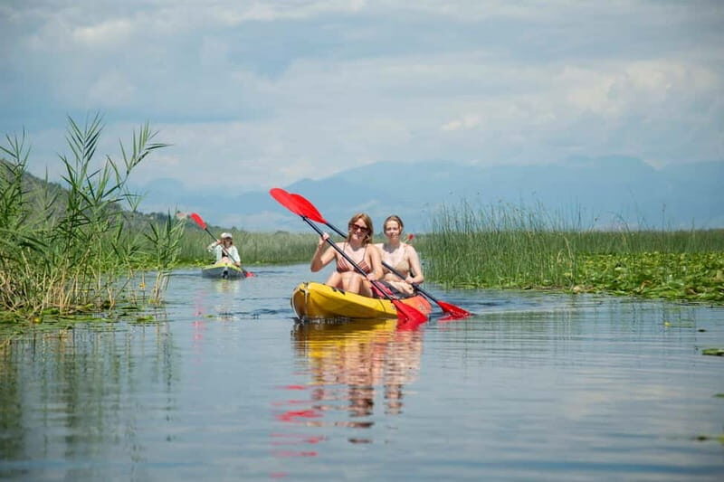 All Day Self-Kayaking to secret spots and wildlife observing - The Gear and Support