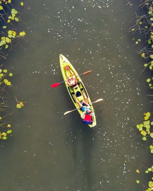 All Day Self-Kayaking to secret spots and wildlife observing - The Value of the Experience